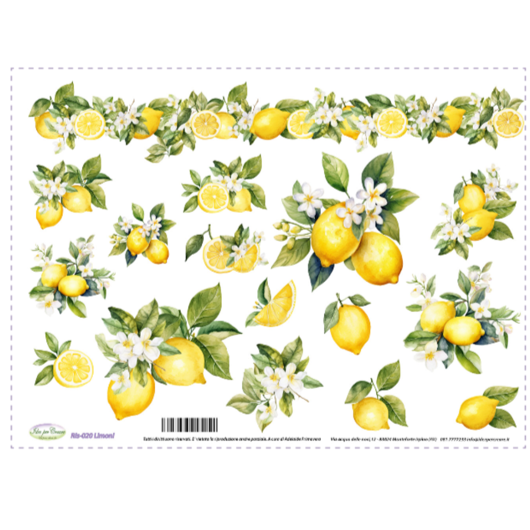 Carta Riso A3 Idee Per Creare Limoni – Gogolandia